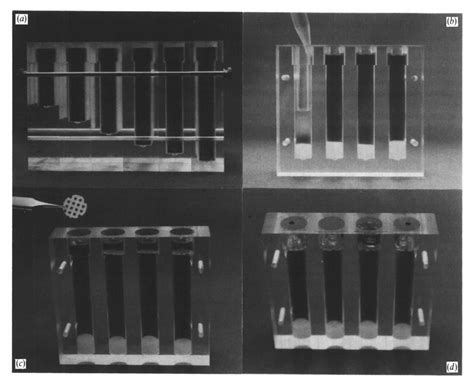 Figure 1 From A Macromolecular Crystallization Procedure Employing