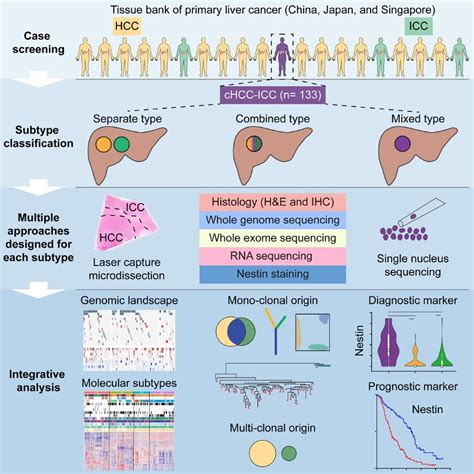 北京大学生命科学学院