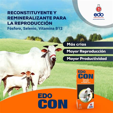 🟠 Edocon Coadyuvante En Las Laboratorios Edo
