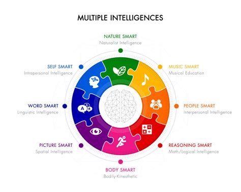 Multiple Intelligence Types Eight Types Of Multiple Intelligence Stock