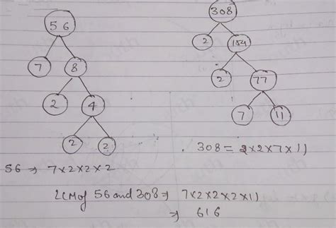 Solved Draw The Prime Factor Trees For 56 And 308 Use The Prime Factor Trees To Find The