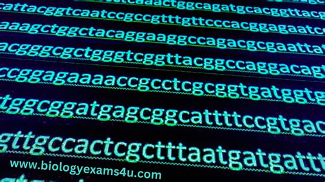 Basic Bioinformatics Notes