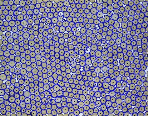 Python ImageProcessing Find The Center Of The Circle In A Jpeg Image By Using Opencv Stack