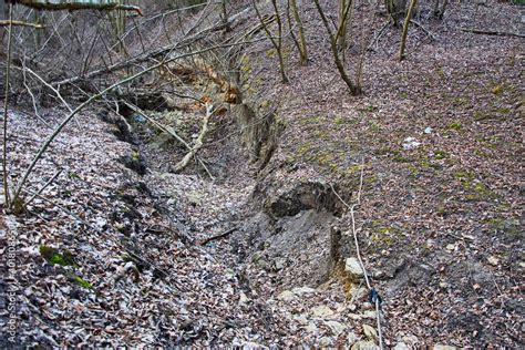 Exposed Tree Roots Soil Erosion Loess Rock Slope Wall In Natural Landscape Stock Photo Adobe