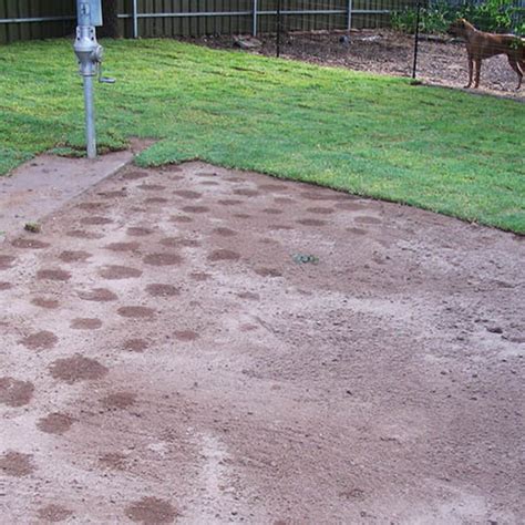 Subsurface Drip Irrigation Irrigation Etc For Quality Residential Irrigation