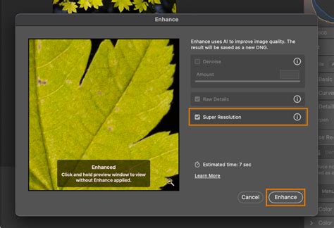use raw details and super resolution in adobe camera raw