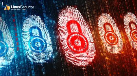 Top Forensic And Pentesting Linux Distros To Test Your Network