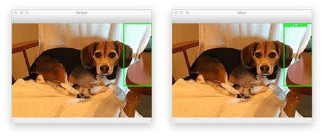 Region Proposal Object Detection With Opencv Keras And Tensorflow Pyimagesearch