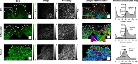 Figure 4 From Multiparameter Interferometric Polarization Enhanced