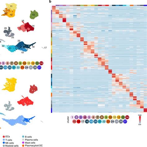 Single Cell Taxonomy Of The Breast Microenvironment A Umap Plot Of The