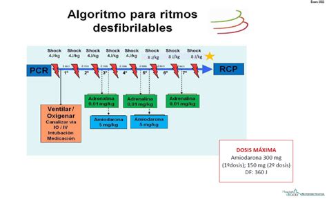 Algoritmo Para Ritmos Desfibrilables Academia Nacional De Medicina