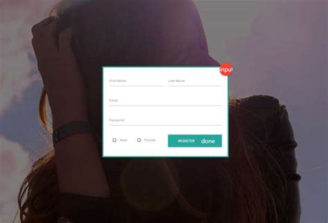 表单注册页面代码js，css提示信息 17素材网
