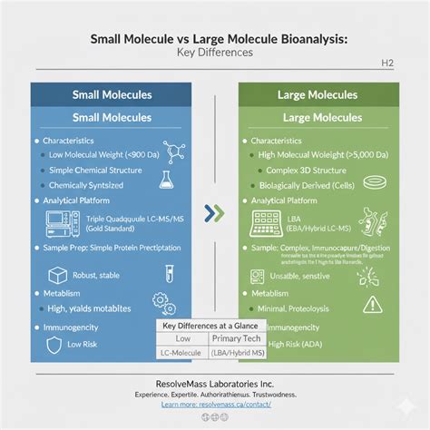 Small Molecule Vs Large Molecule Bioanalysis Key Differences