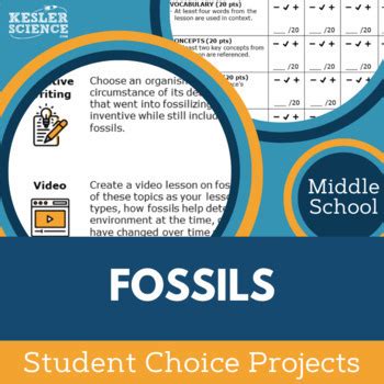 Fossils Babe Choice Projects Grades 6 7 8 By Kesler Science