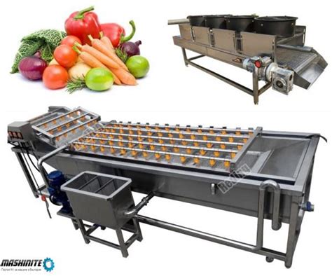 Машините Машини за преработка сортиране и пакетиране на зеленчуци плодове