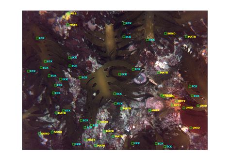 Marine Robotics Datasets Acfr