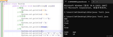 Java语言小白学习之路（有一定c语言的基础）java语言的学习 Csdn博客