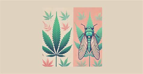 Leafhoppers On Cannabis Symptoms Causes And Control Cannoptikum
