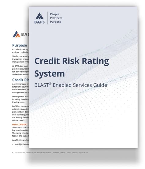 Bafs Credit Risk Rating System Product Services
