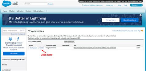 communities settings and customize community url in salesforce