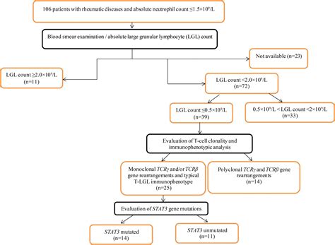 Lgl Leukemia Pathogenesis