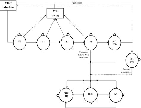 Simplified Diagram Of The Markov Model The Oval Boxes Represent The Download Scientific