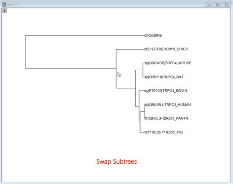 Help Online Apps Phylogenetic Tree Pro