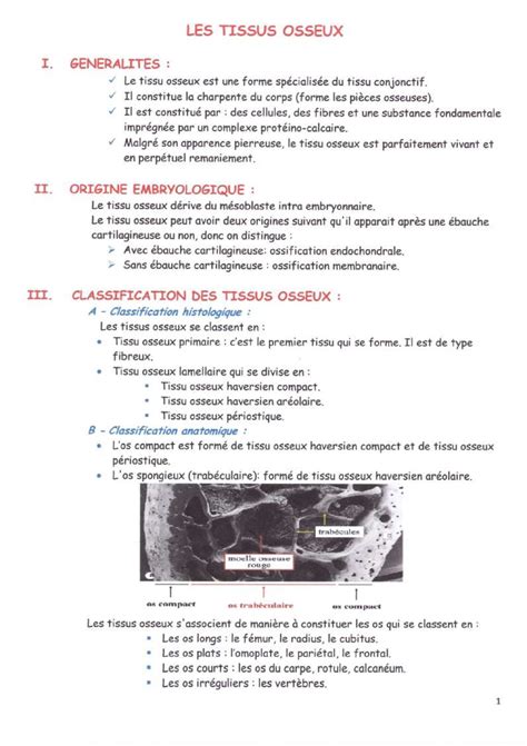Histo 1an 05 Tissu Osseux Cours Médecine Studocu