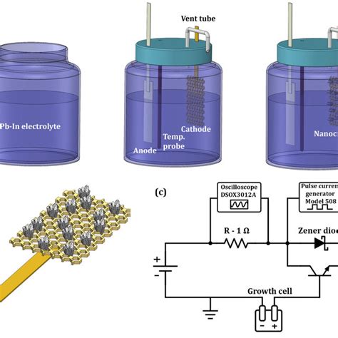 Hierarchical 3d Nanostructured Pb−in Sample Growth A Schematic Download Scientific Diagram