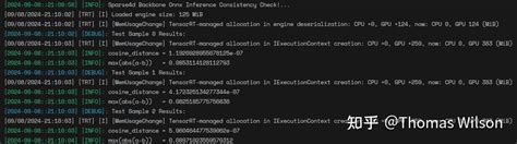 W字长文经验帖Sparse Dv 的TensorRT部署调优指南 End EndPerception 知乎