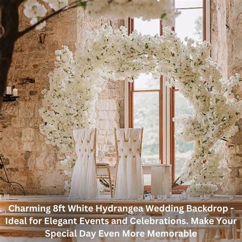 Charming White Hydrangea Wedding Backdrop