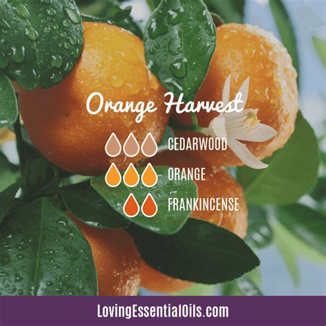 Orange Diffuser Blends 10 Blissful Essential Oil Recipes Loving Essential Oils