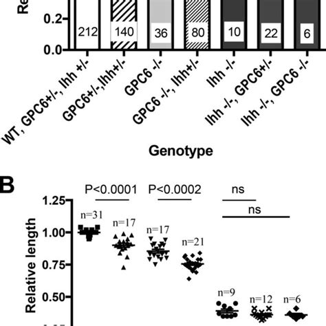 Genetic Interaction Between GPC6 And The Hh Signaling Pathway A Download Scientific Diagram