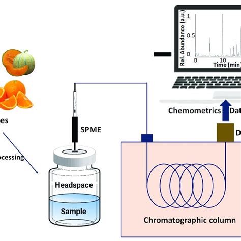 Schematic Illustration Of Food Sample Analysis By Gas Chromatography Download Scientific
