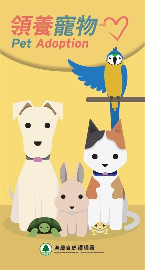 🐾【2025寵物領養全攻略】新手必讀！流程、費用、機構一文睇清！ 利嘉閣地產有限公司