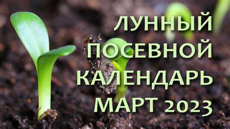 Лунный посевной календарь на март 2023 года самые благоприятные дни для посева семян