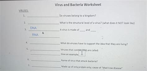 Bacteria And Viruses Worksheets 15 Worksheets Library