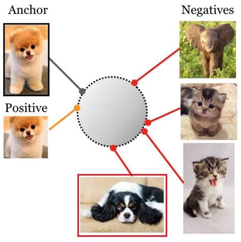 Self Supervised Learning Part 3 The Idea Of Amdim And Comparison