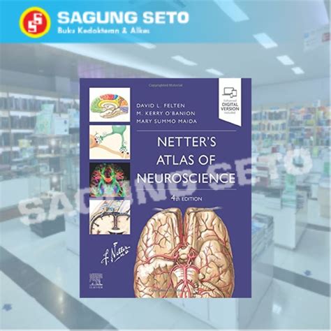 Jual Must Have Netters Atlas Of Neuroscience 4ed Felten Saraf Terbaru Shopee Indonesia