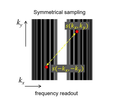 Fig1 Symmetrical Signal Subsampling With Respect To The Originof K Space That Is Used In