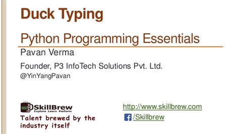 Python Programming Essentials M33 Duck Typing