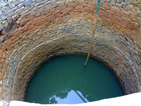 Five Large Open Wells Near Madiwala Market Biome Environmental Trust