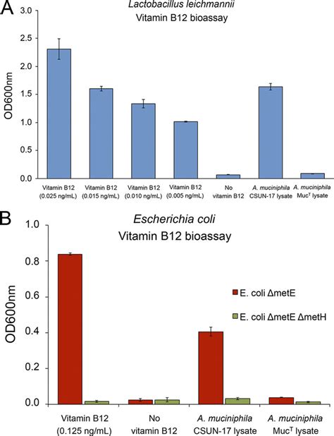 Biosynthesis Of Vitamin B 12 By Strain A Muciniphila Strain Csun 17