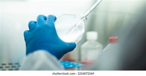 14 694 Cell Culture Laboratory Images Stock Photos Vectors Shutterstock