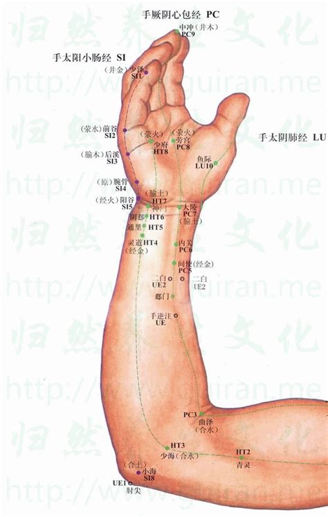 人体四肢穴位动画青灵 针推医学网
