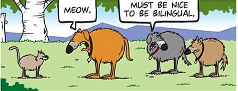 Kinds Of Code Switching Awin Language