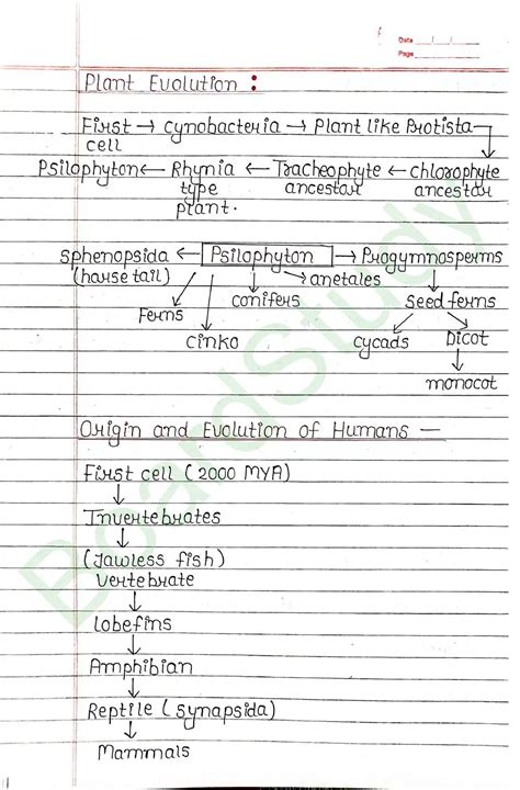 Ncert Class 12 Biology Evolution Notes Handwritten Notes And Pdf