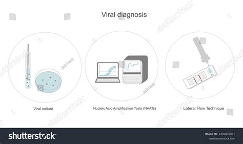 Dna Qpcr Over Royalty Free Licensable Stock Vectors Vector Art Shutterstock