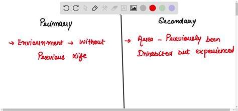 Solved Can Someone Please Answer This Using Specific Examples For