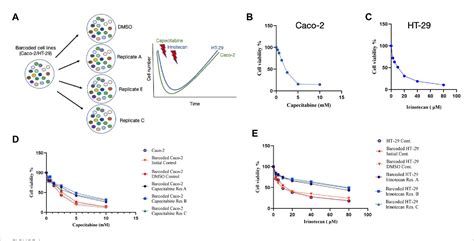 Figure 1 From Identification Of Collateral Sensitivity And Evolutionary